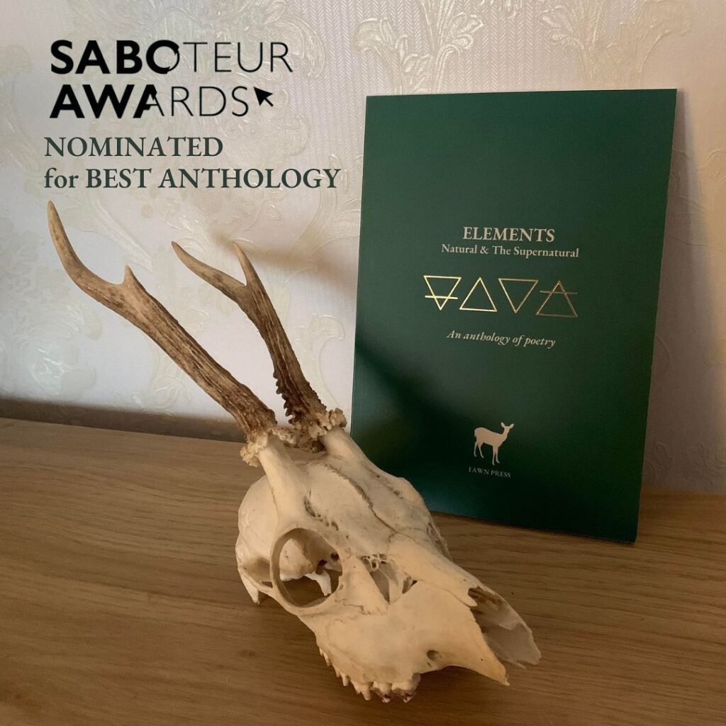 Paperback “Elements: Natural & The Supernatural” - Fawn Press