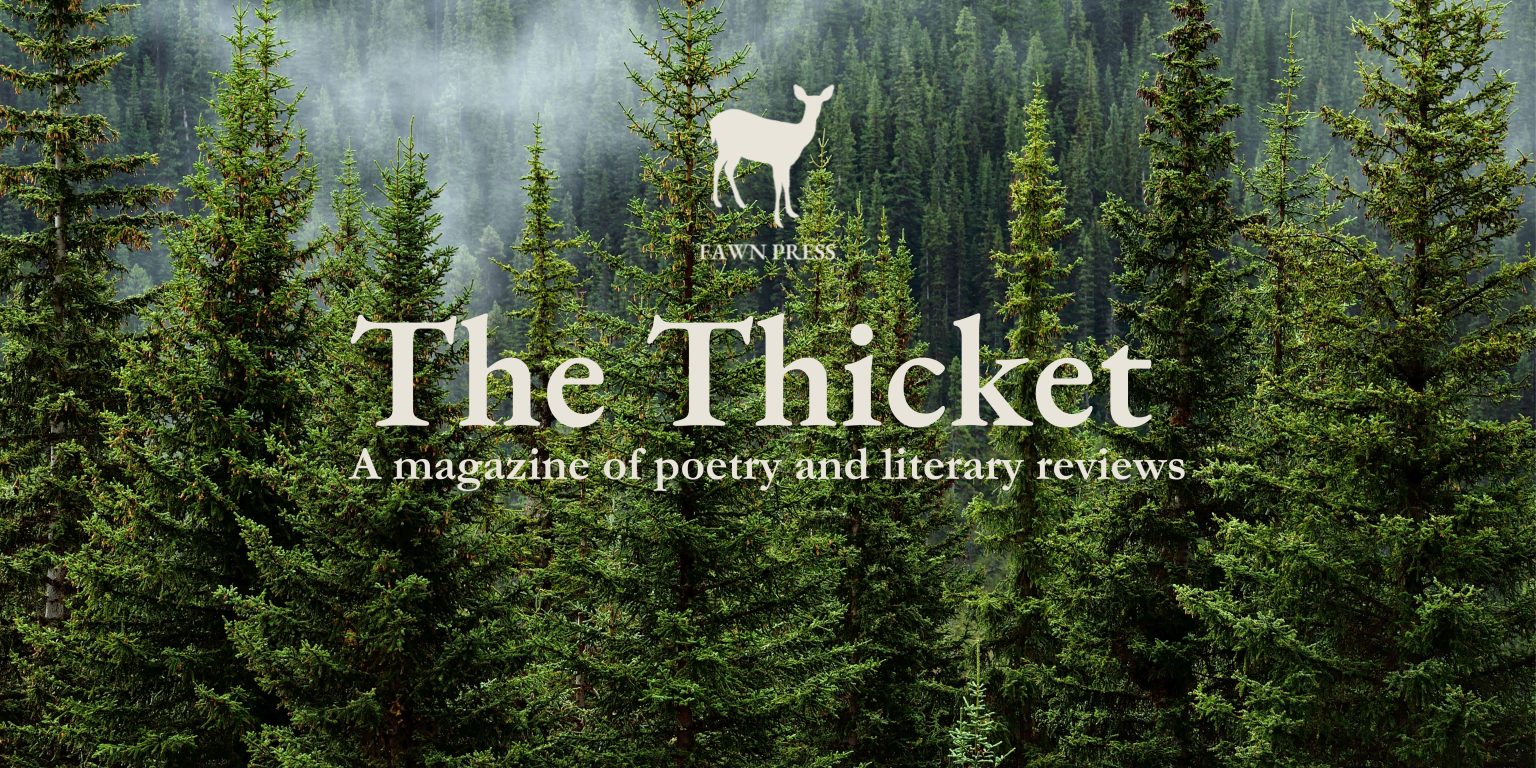 The Thicket - Fawn Press